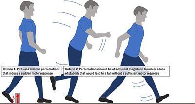 Frontiers | Perturbation-based balance training: Principles, mechanisms and implementation in ...